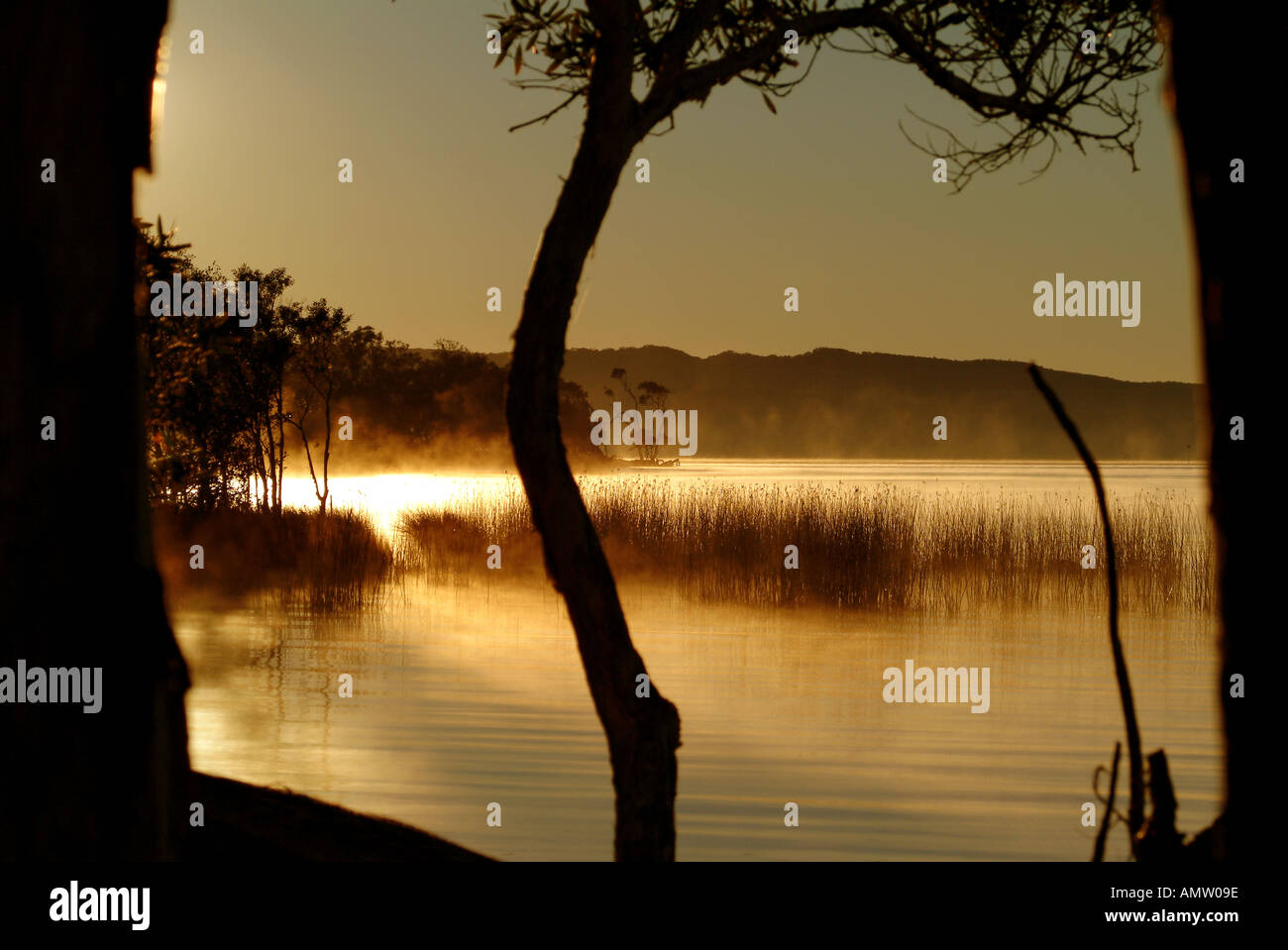 Lake cootharaba hi-res stock photography and images - Alamy