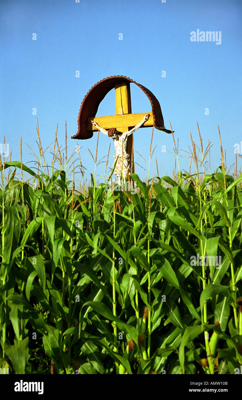 Christian symbol corn hi-res stock photography and images - Alamy