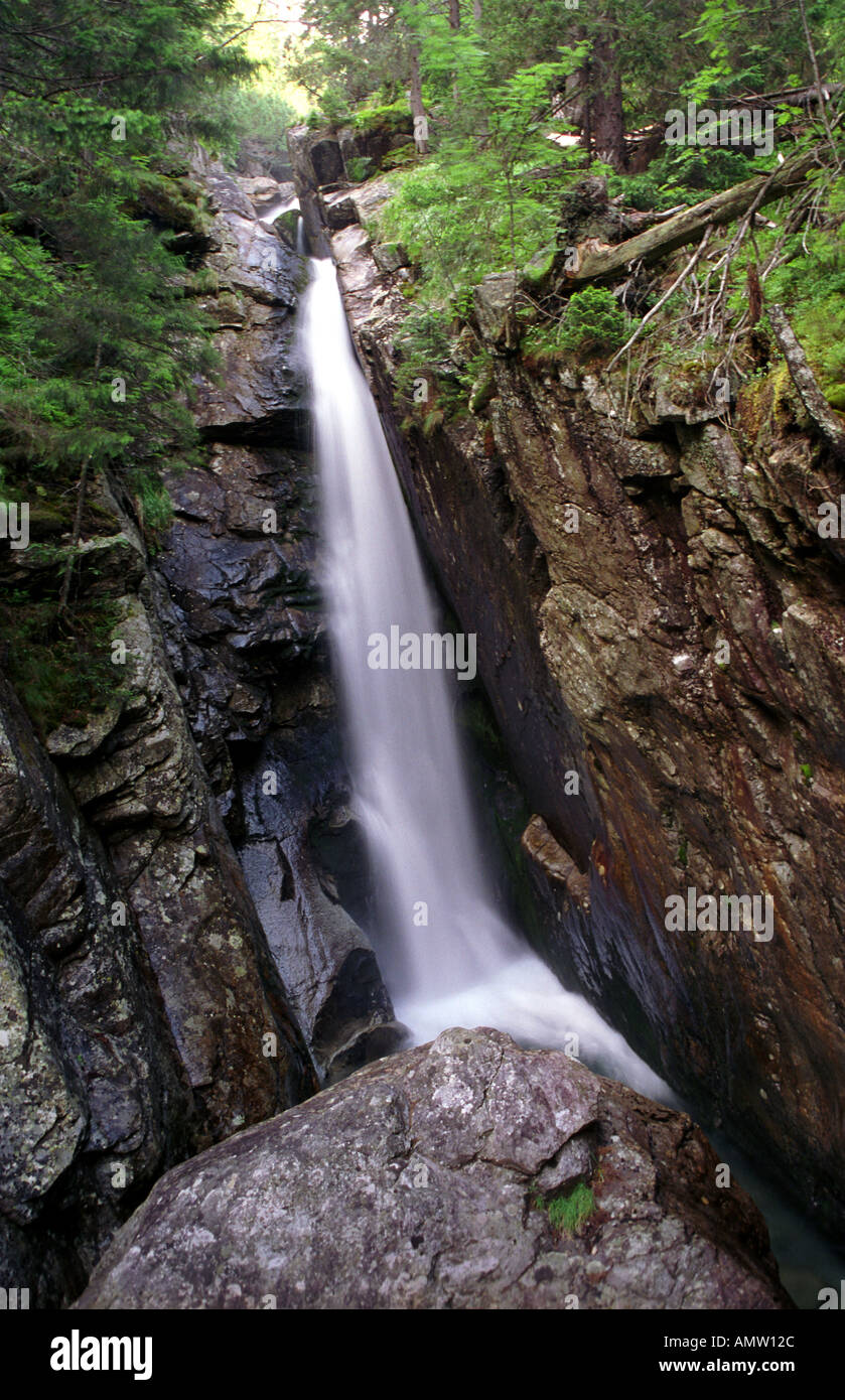 Scrub Wilderness Daytime Tatra Tatras National Park High Resolution ...
