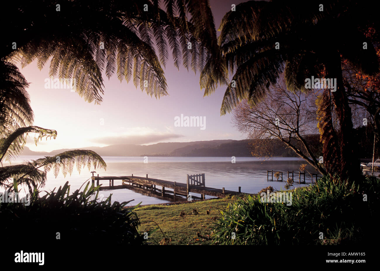 Lake rotoiti rotorua hi-res stock photography and images - Alamy