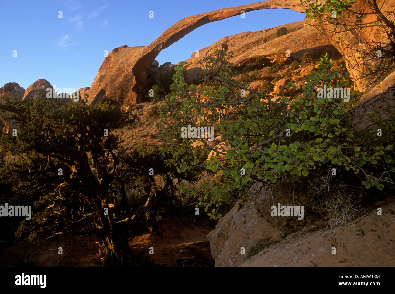Frank beckwith hi-res stock photography and images - Alamy