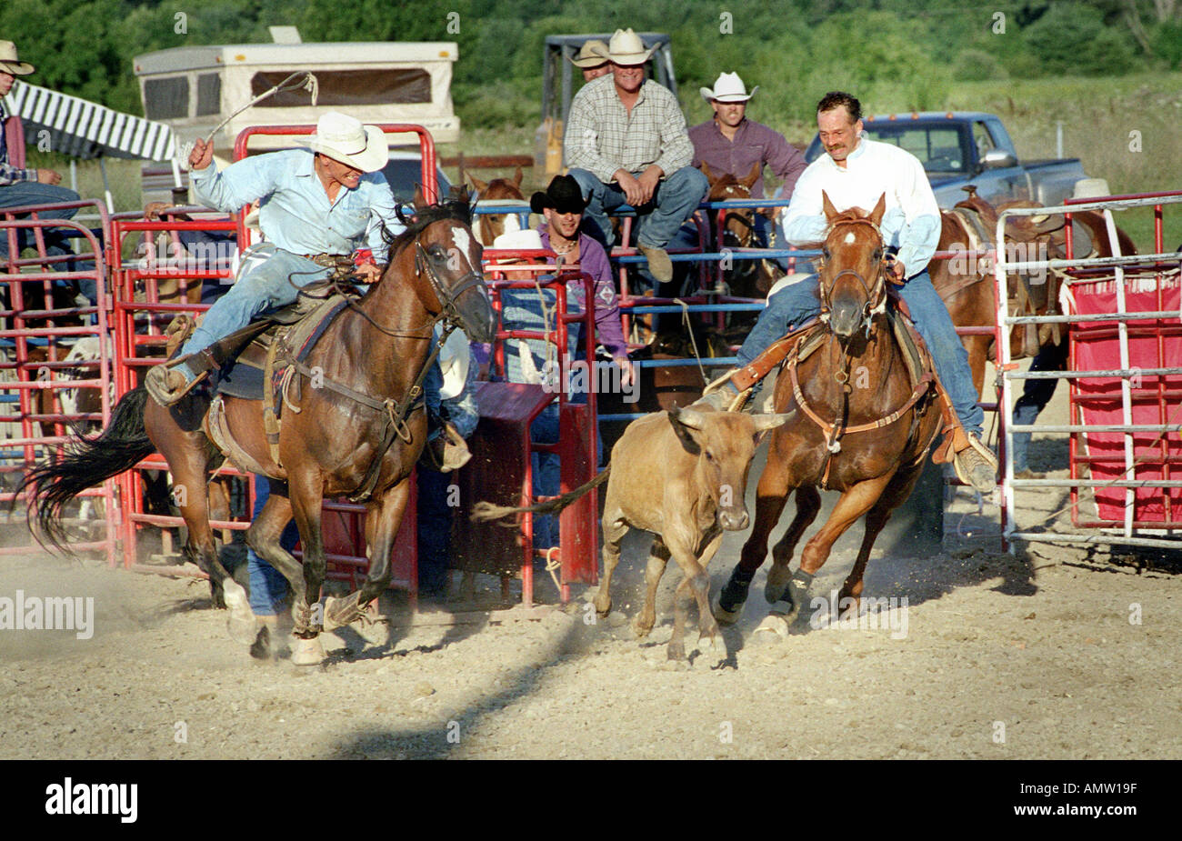 Rodeo horse sporting event Stock Photo - Alamy