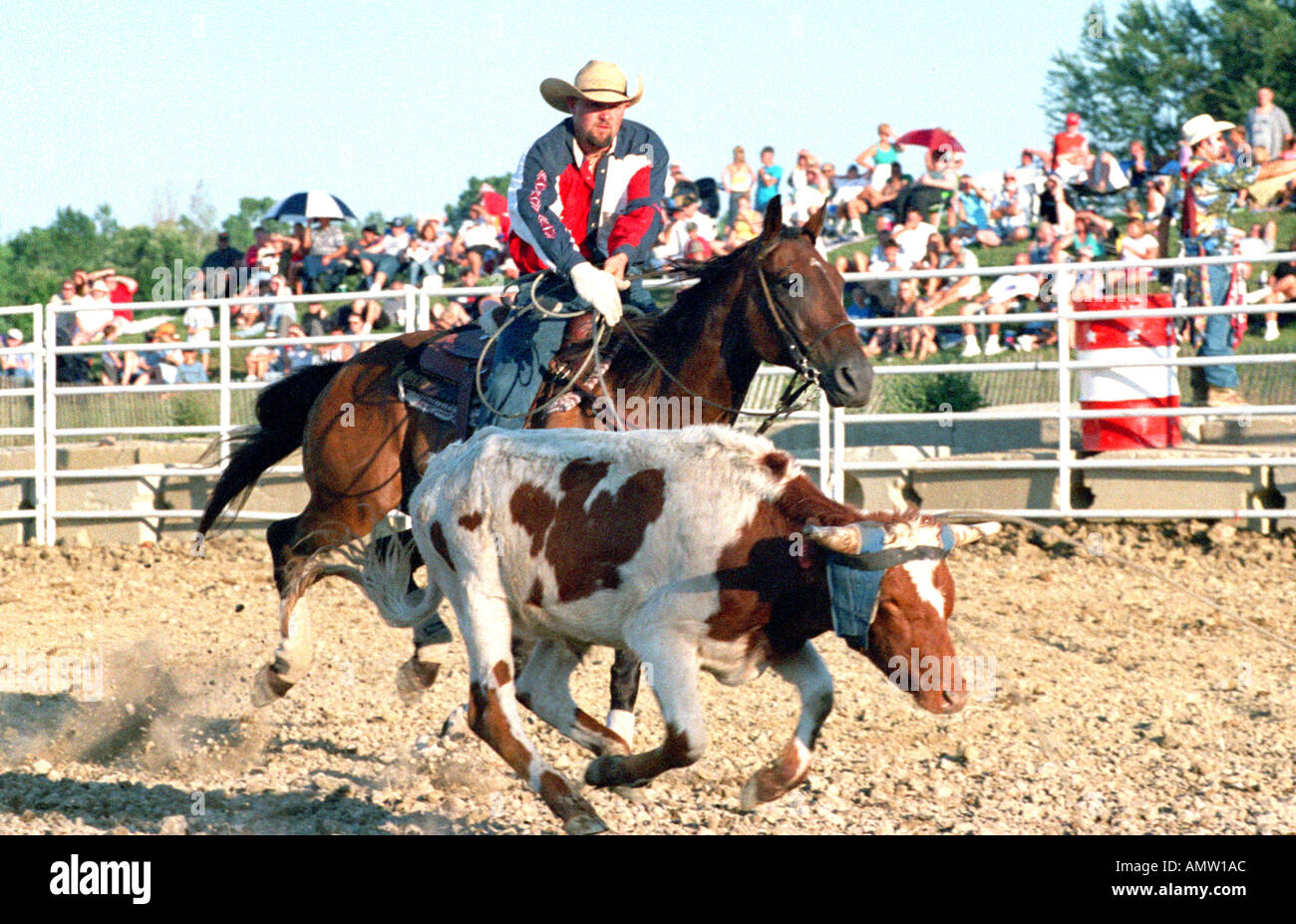 Rodeo horse sporting event Stock Photo - Alamy