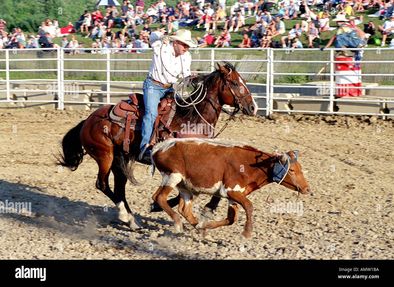 Rodeo and horse hi-res stock photography and images - Alamy