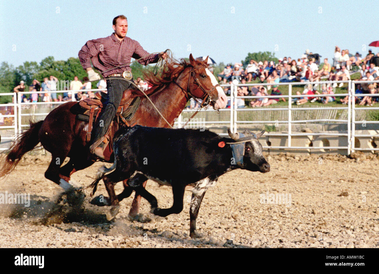 Rodeo horses hi-res stock photography and images - Alamy