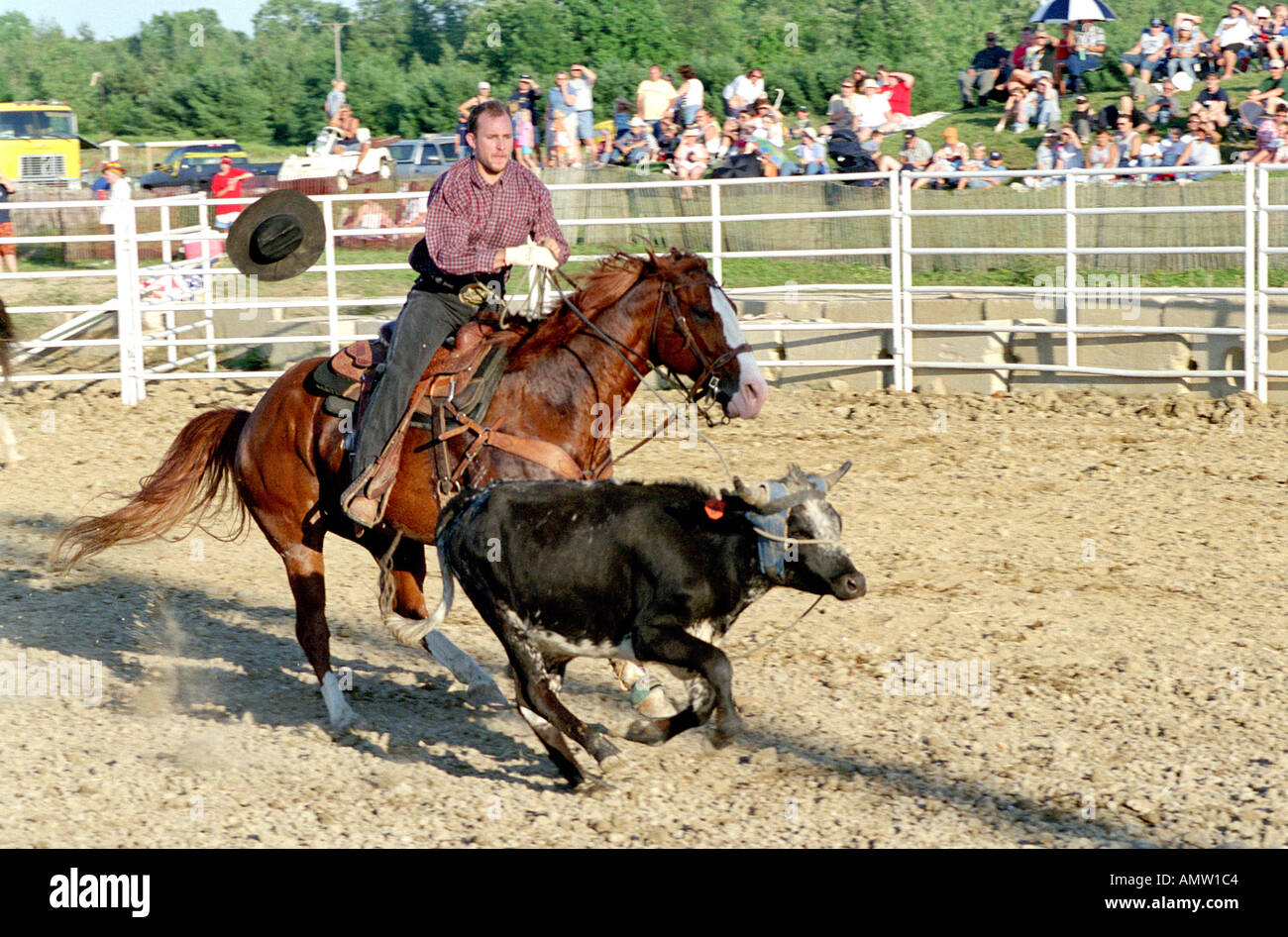 Rodeo and horse hi-res stock photography and images - Alamy