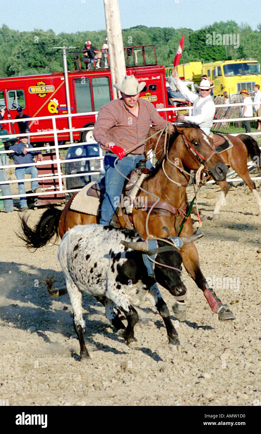 Rodeo horse sporting event Stock Photo - Alamy