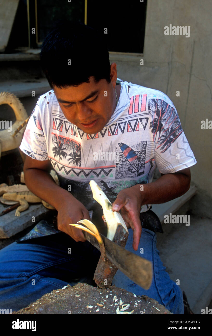 Copal tree hi-res stock photography and images - Alamy