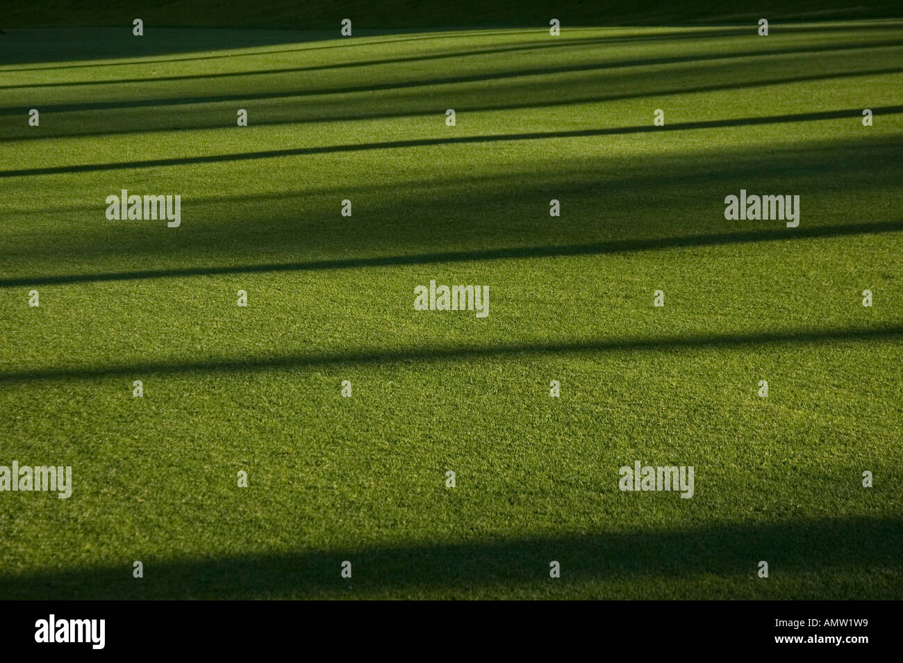 English lawn stripes hi-res stock photography and images - Alamy