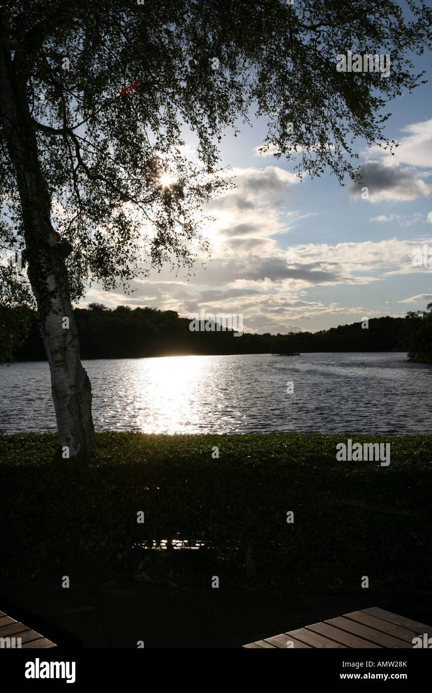 Evening scene with tree, lake and distant hills and woods Stock Photo ...
