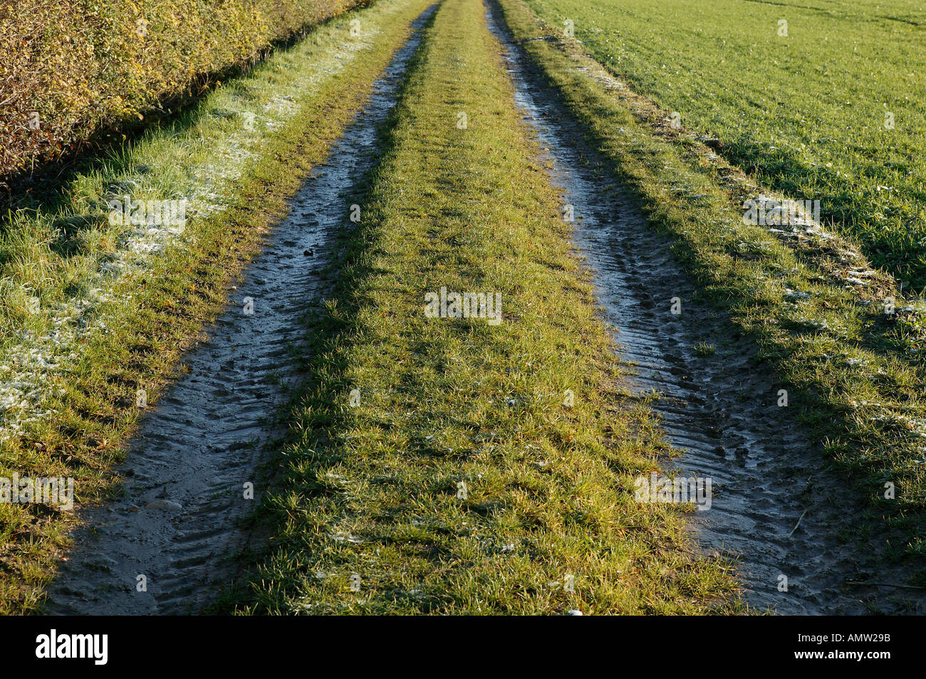 TRACK leading to an unknown location Stock Photo - Alamy