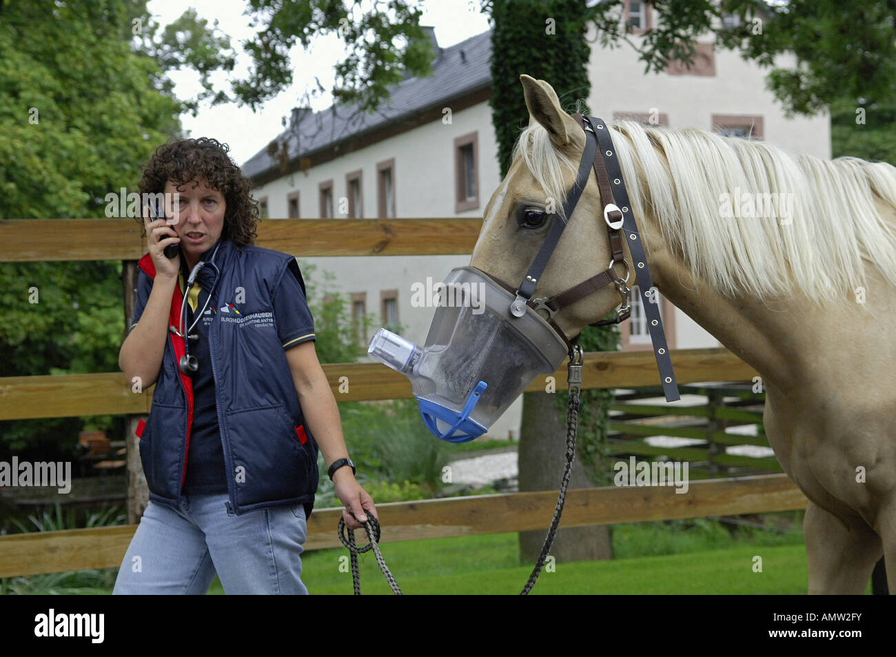 Woman leading horse wearing inhalation mask Stock Photo - Alamy