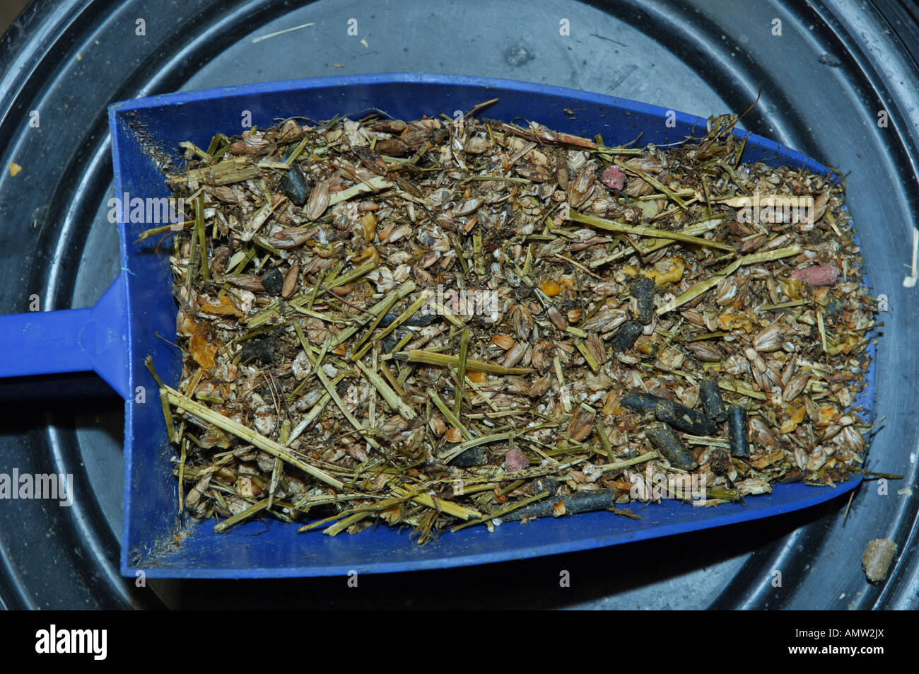 Dustfree hi-res stock photography and images - Alamy