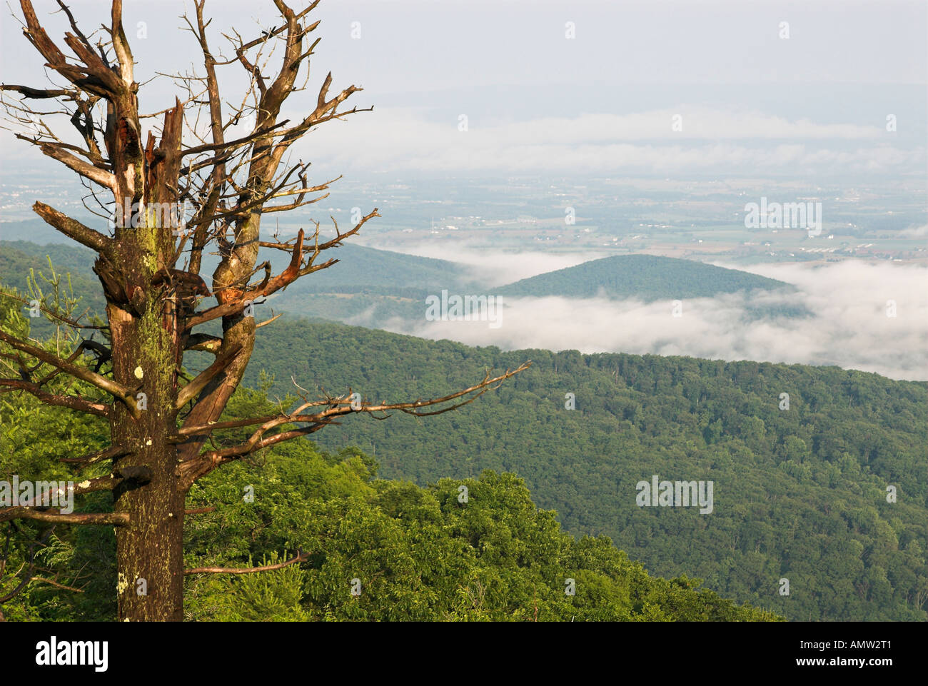 View from Skyline Drive, Shenandoah National Park, Virginia, USA Stock ...
