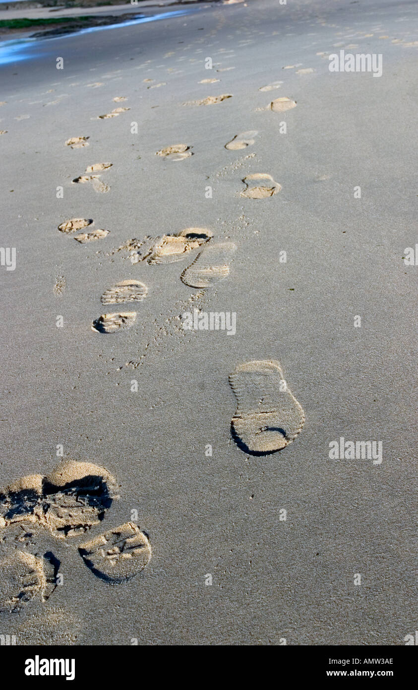 Animal footprint shoes hi-res stock photography and images - Alamy