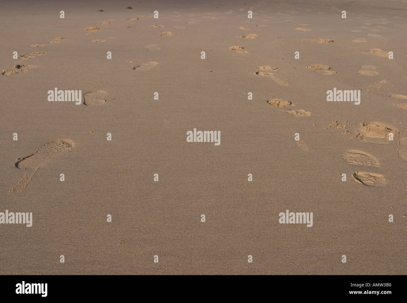 Footprints on sandy beach Stock Photo - Alamy
