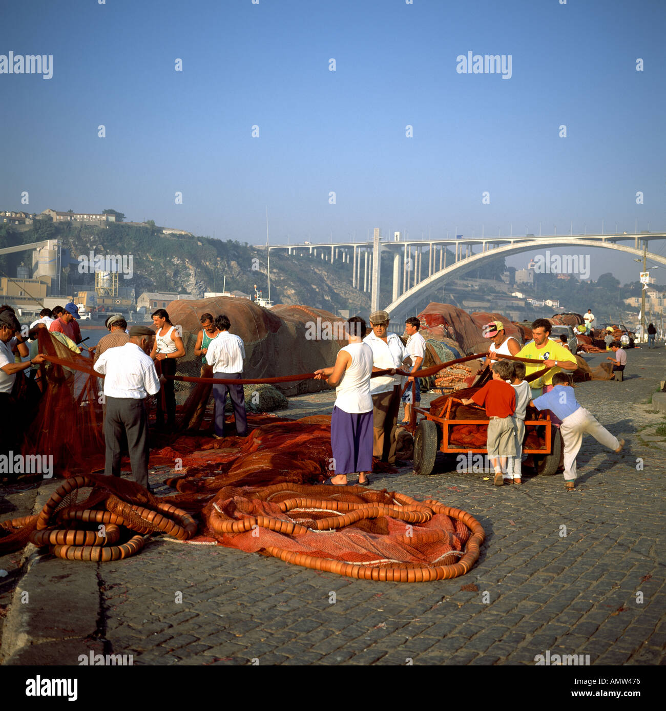 River douro fish hi-res stock photography and images - Alamy