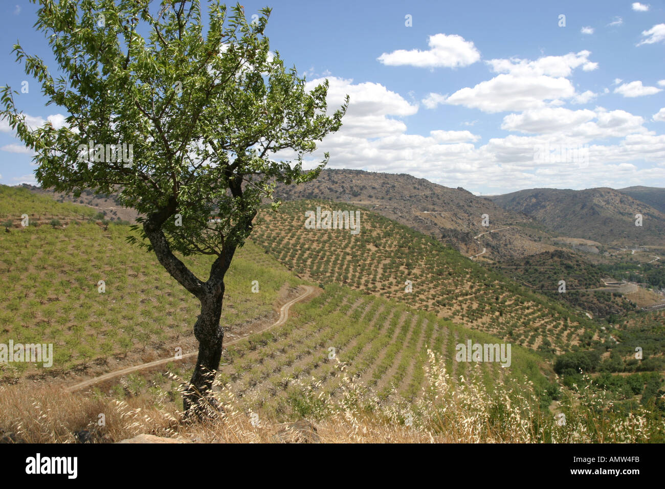 Barca alva hi-res stock photography and images - Alamy