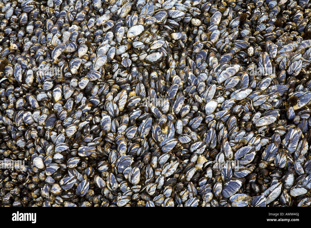 Exposed on the beach hi-res stock photography and images - Alamy