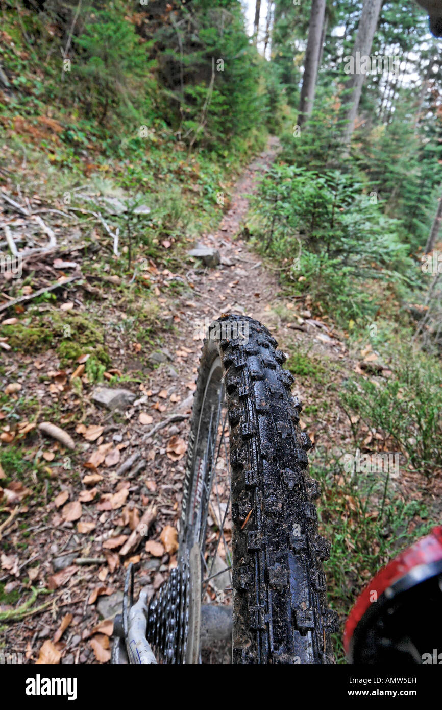 Rear view of a mountain bikers on a section of singletrack - Rear tire ...