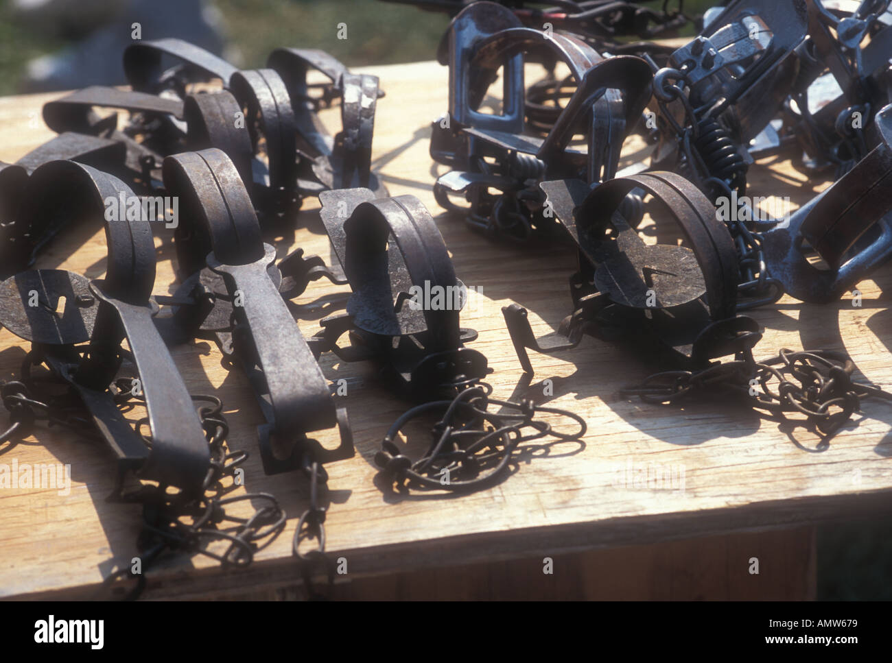 Snare traps hi-res stock photography and images - Alamy