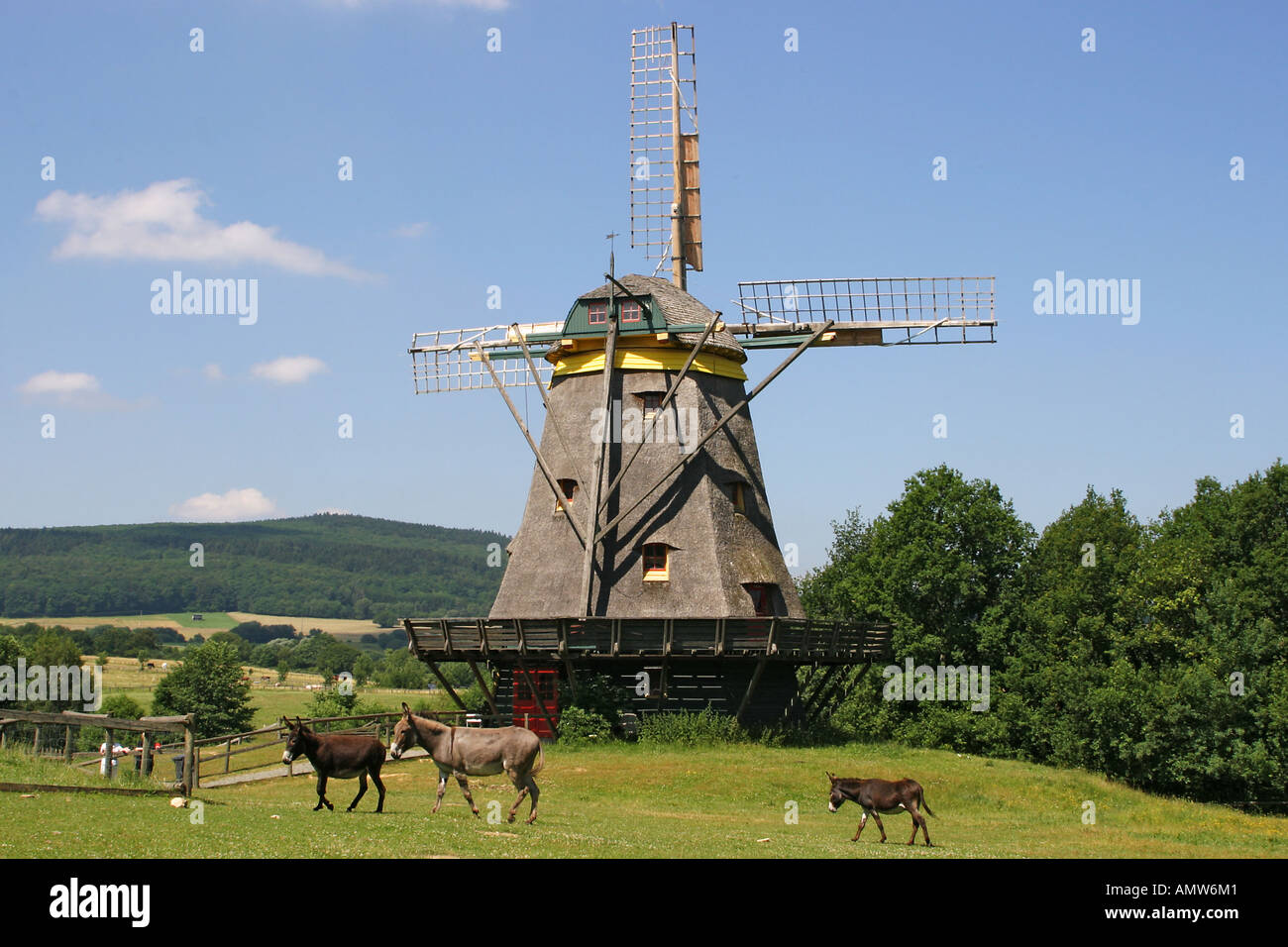 Windmill Cattle Country Stock Photos & Windmill Cattle Country Stock ...