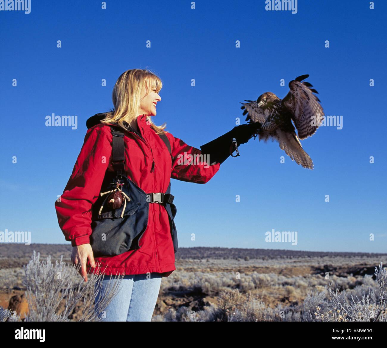 Woman with falcon hi-res stock photography and images - Alamy