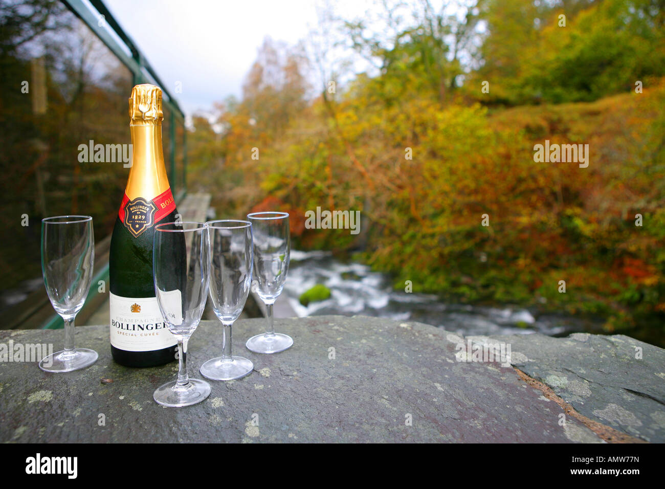 Champagne and glasses lined up outside for wedding reception Stock ...