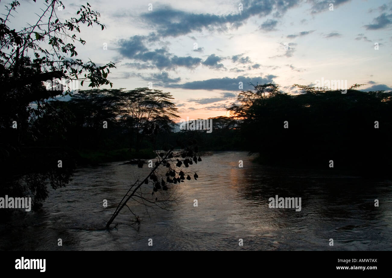 Ishasha river hi-res stock photography and images - Alamy