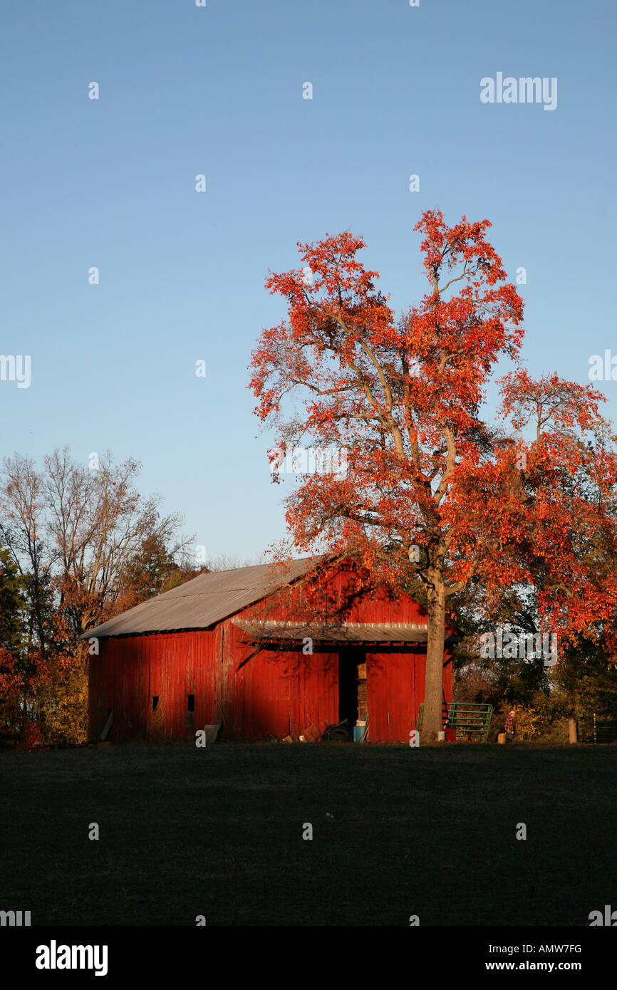 Barn in Fall Stock Photo - Alamy