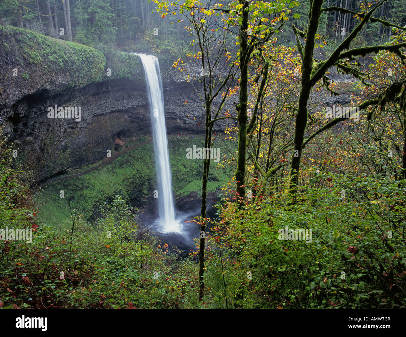 A view of South Falls at Silver Falls State Park on the western slope ...