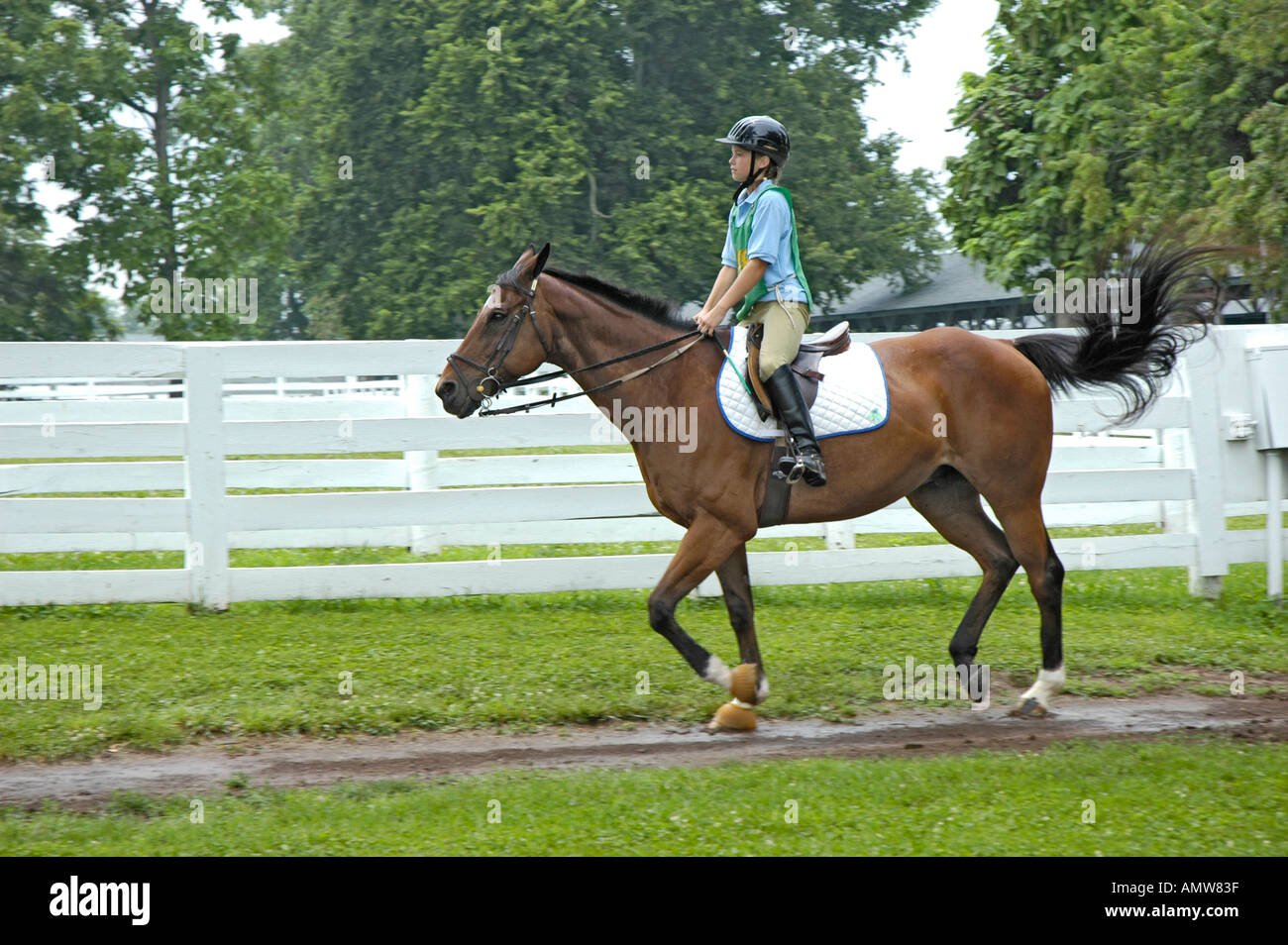 Girl riders and horses at Equestrian event Stock Photo - Alamy