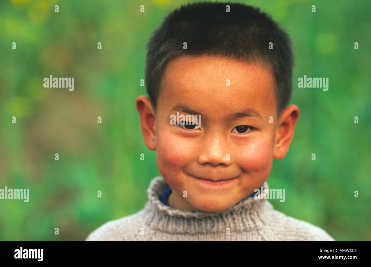 A young Chinese boy on farm in rural area of Hunan Province China Stock ...