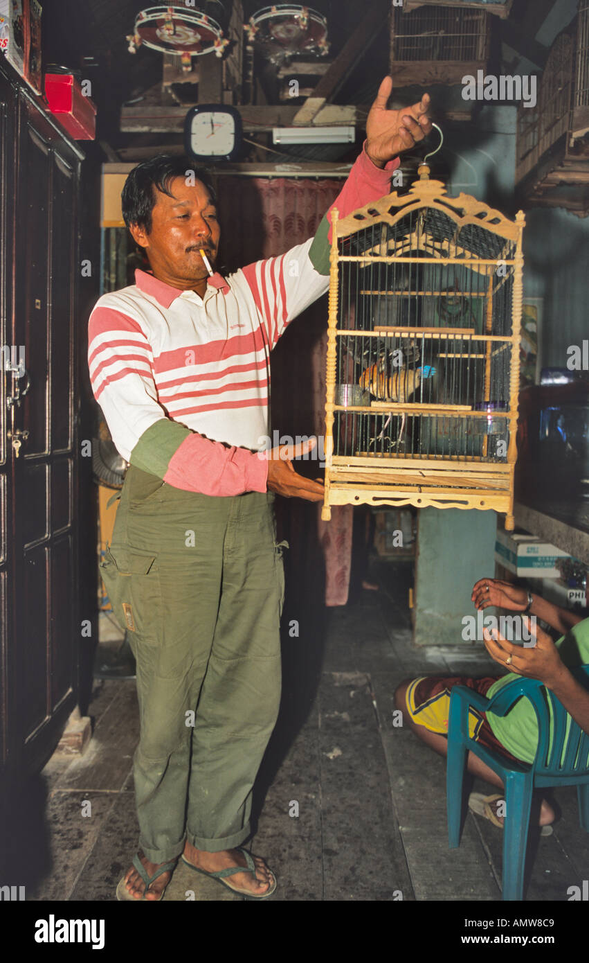 Wild rainforest bird in bamboo cage in market in Samarinda Borneo East ...