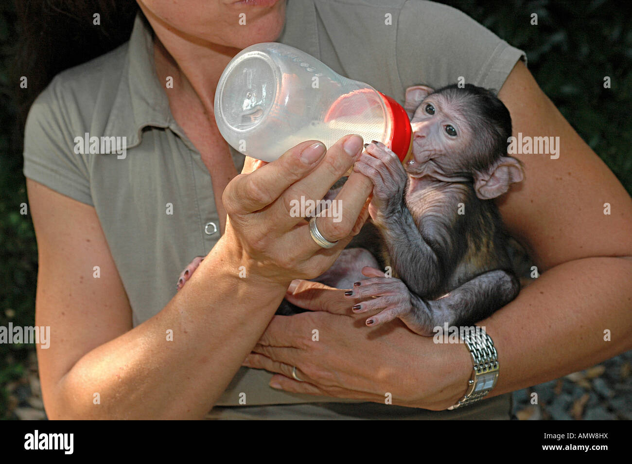 Dora Monkey Baby Bottle