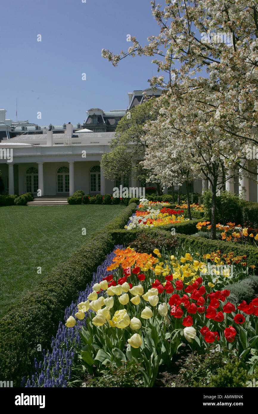 White house rose garden hi-res stock photography and images - Alamy