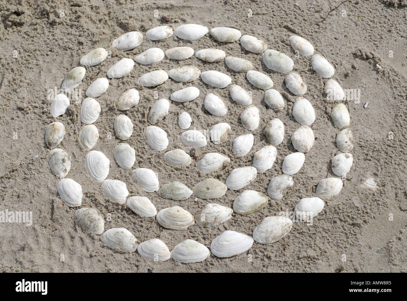 Shell mandala at the beach Stock Photo - Alamy