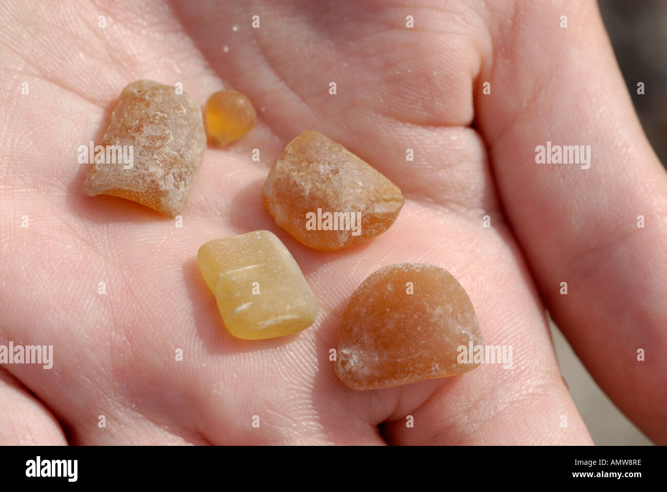 Hand holds donnerkeile belemniten Stock Photo - Alamy