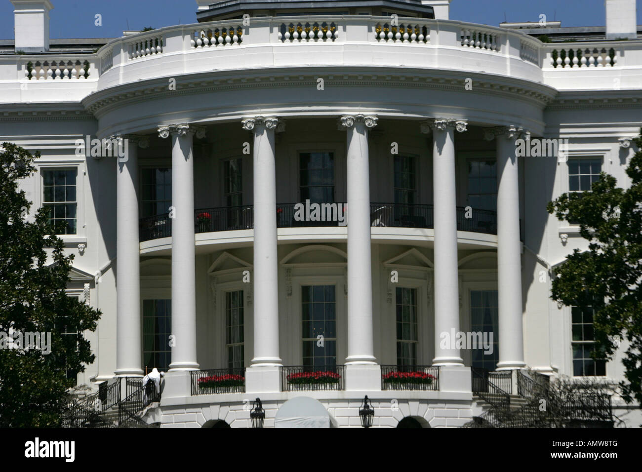 White House Close Up