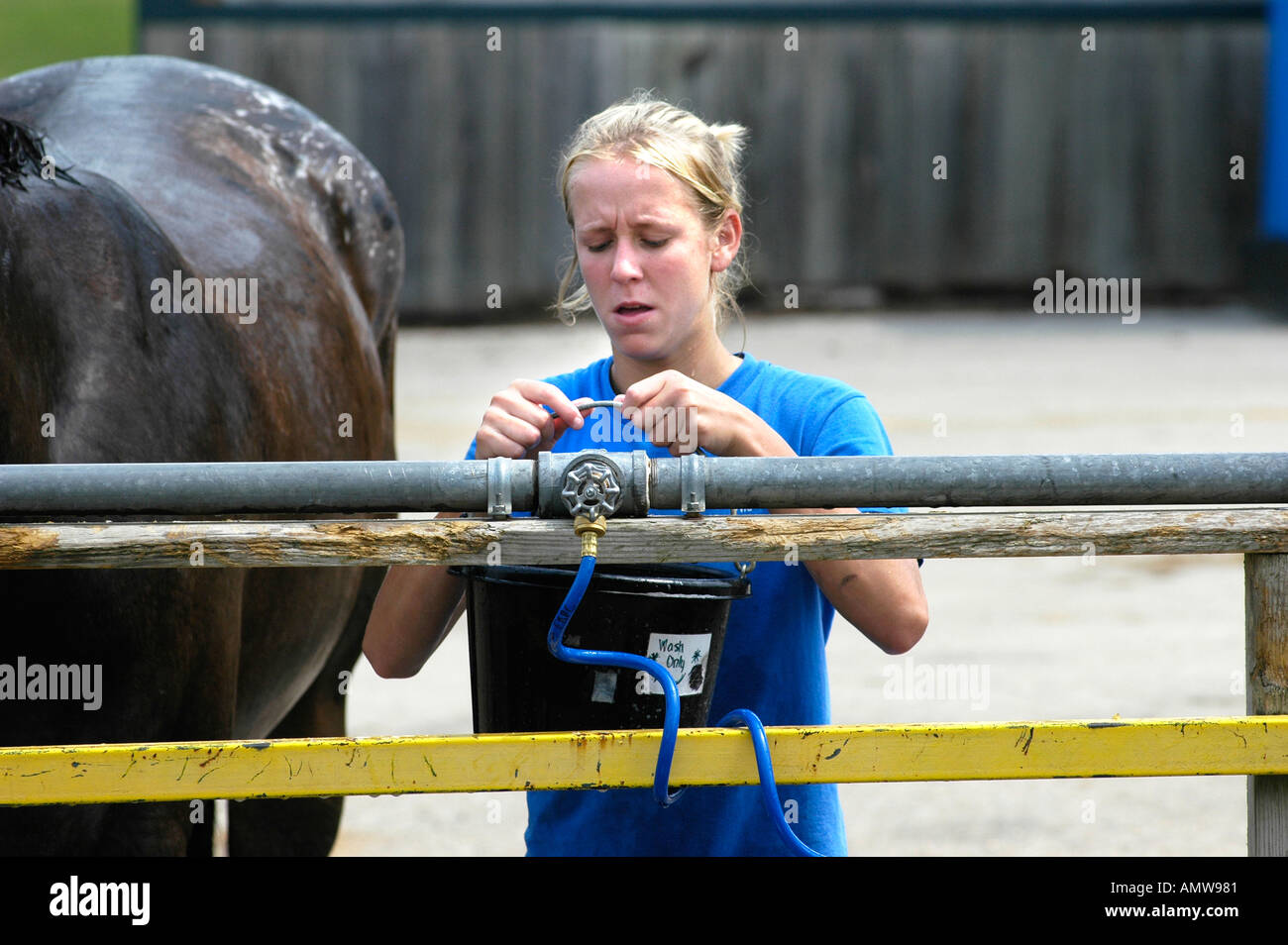 Girl riders and horses at Equestrian event Stock Photo - Alamy