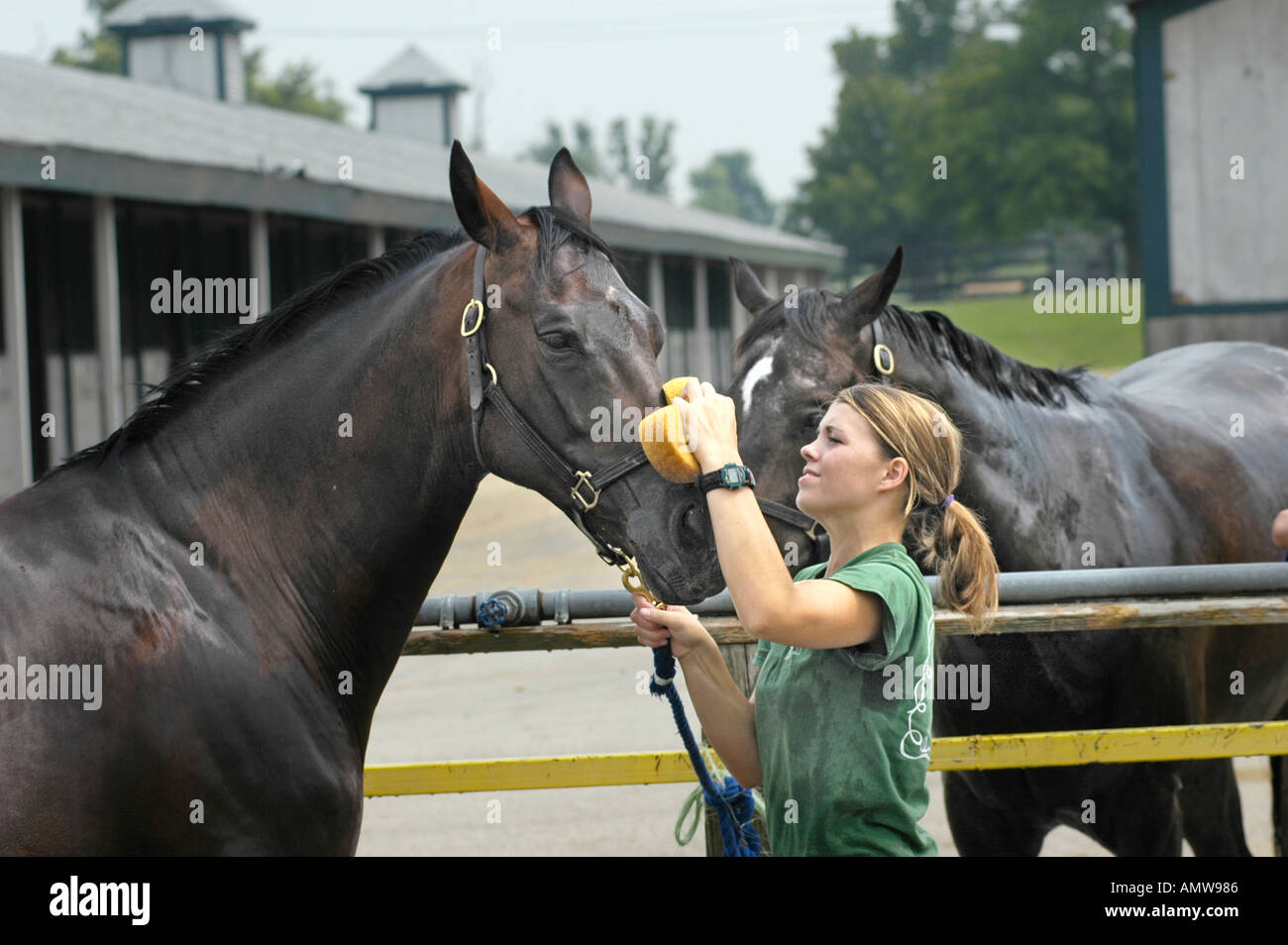 Girl riders and horses at Equestrian event Stock Photo - Alamy