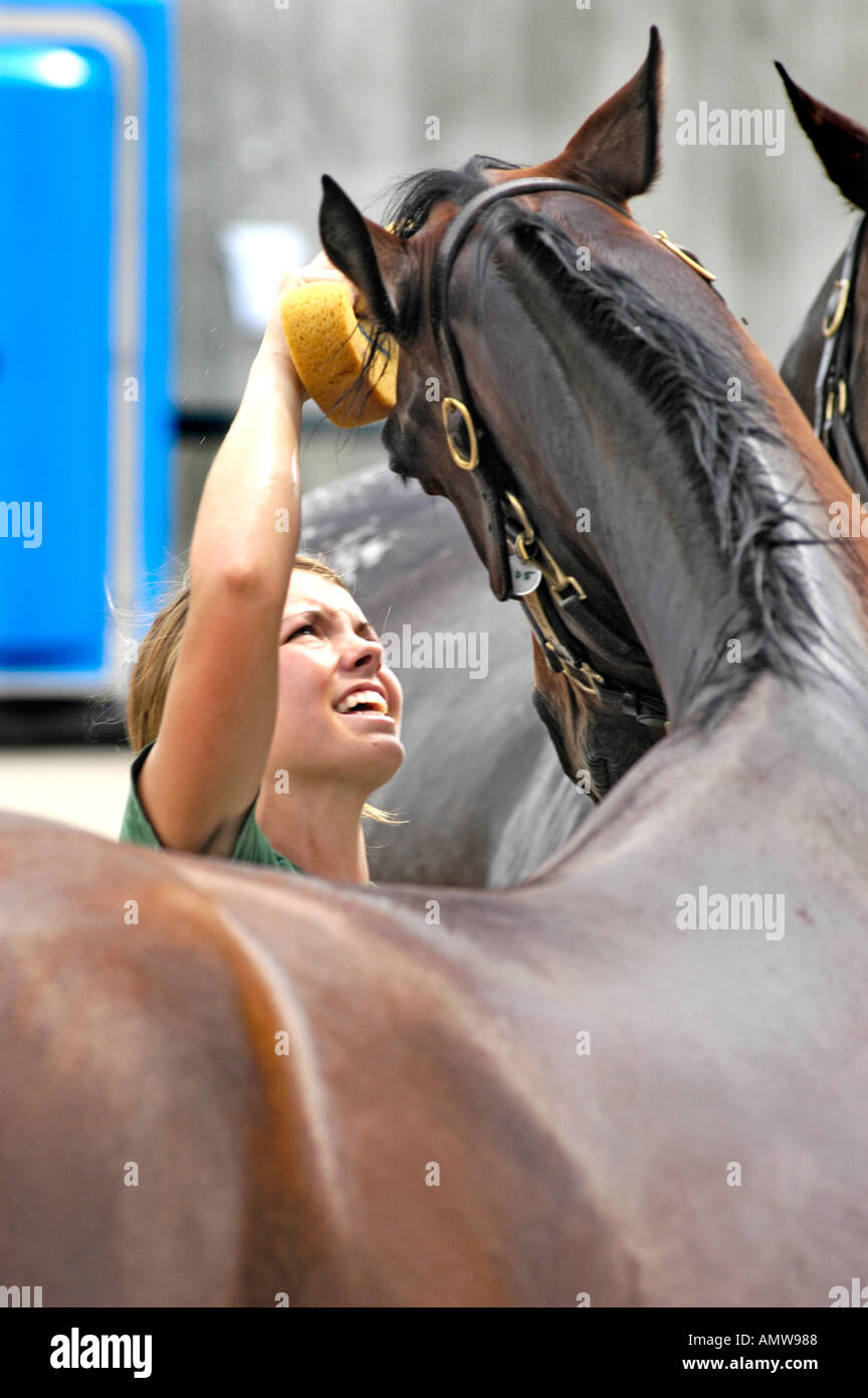 Girl riders and horses at Equestrian event Stock Photo - Alamy