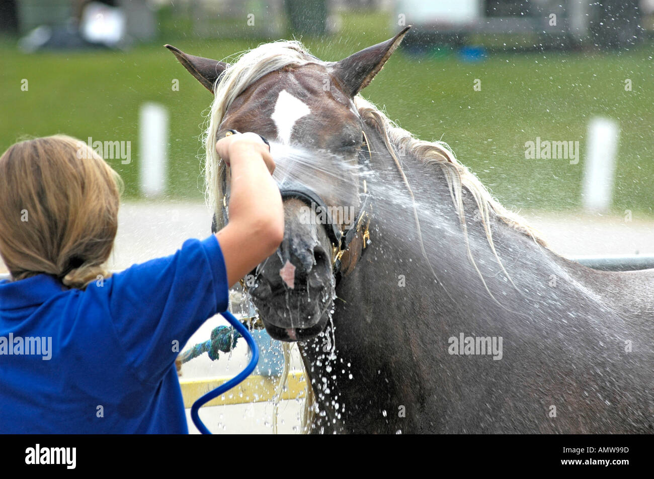 Girl riders and horses at Equestrian event Stock Photo - Alamy