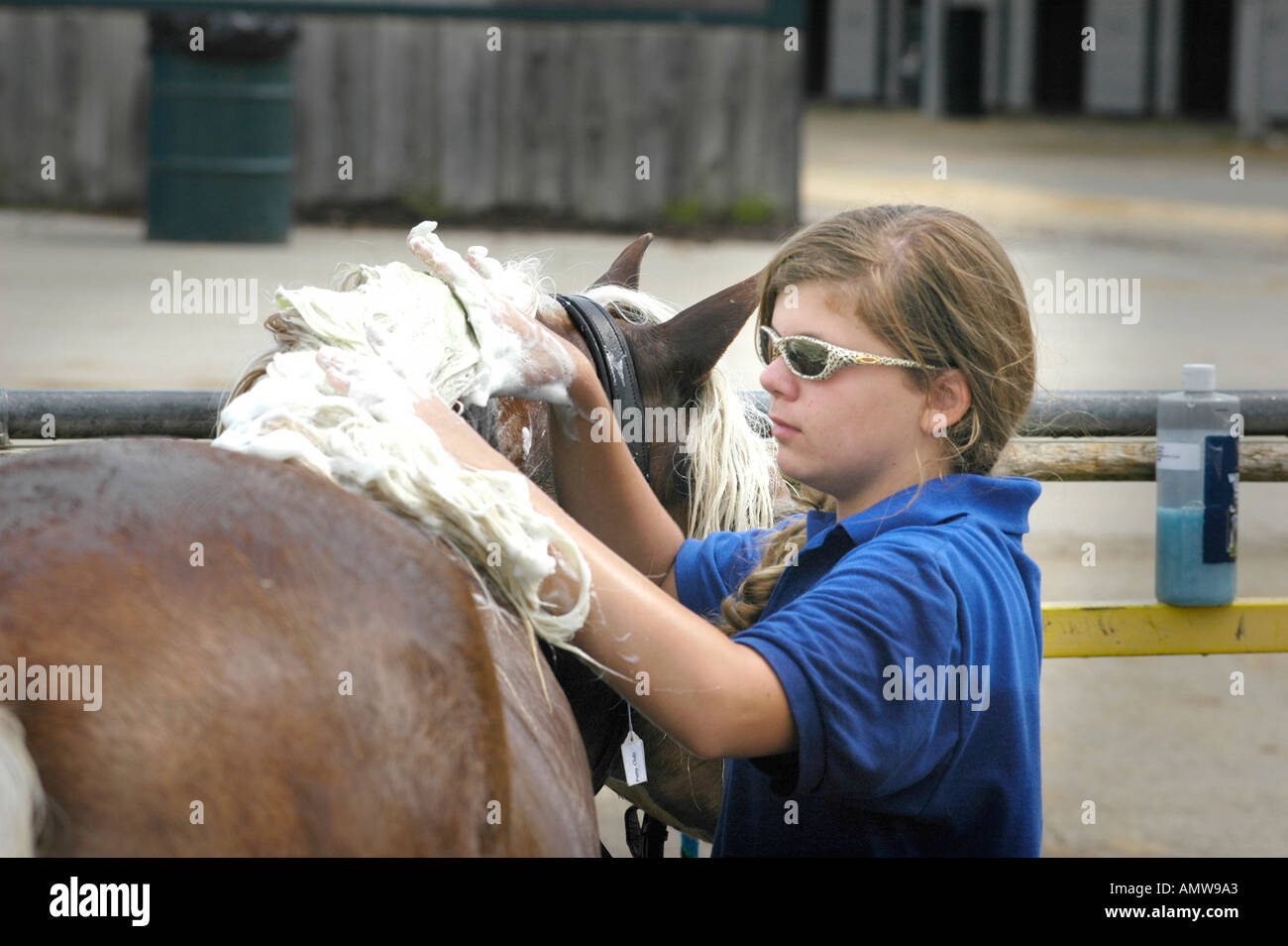 Girl riders and horses at Equestrian event Stock Photo - Alamy