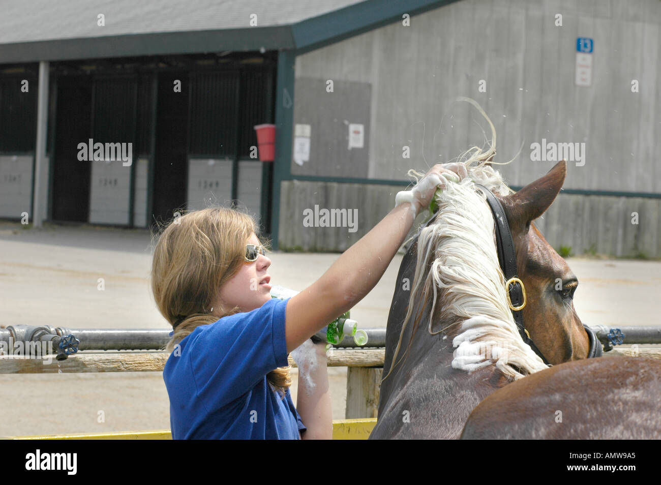 Girl riders and horses at Equestrian event Stock Photo - Alamy