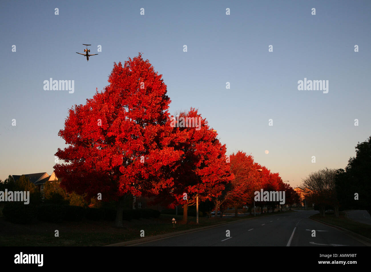 North Carolina trees Colors of Fall plane taking off Stock Photo - Alamy