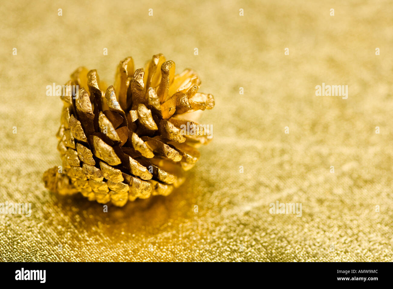 Golden pine cone on golden underground Stock Photo - Alamy