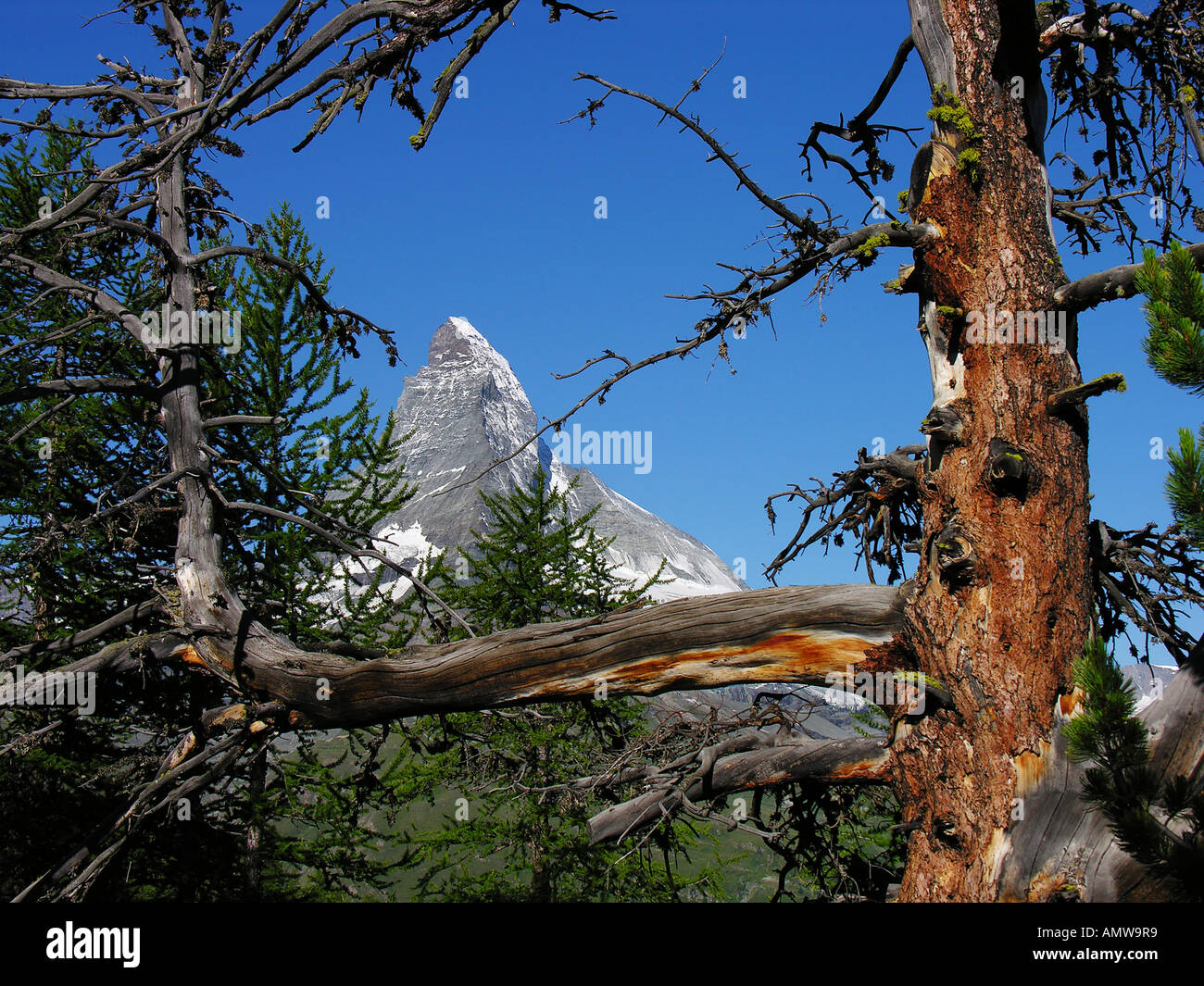Nice view matterhorn peak hi-res stock photography and images - Alamy