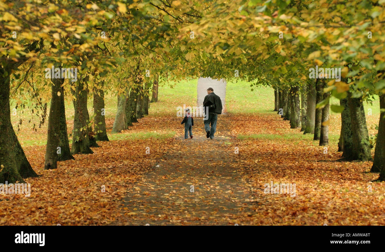 Father son in great hi-res stock photography and images - Alamy