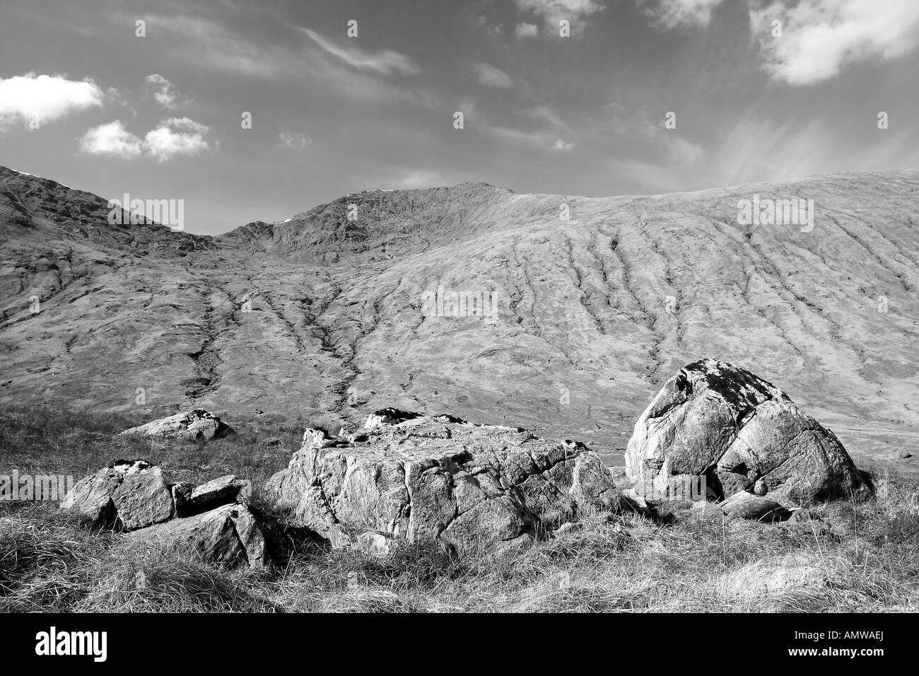 Kingie hi-res stock photography and images - Alamy